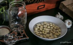 An easy Garlic Infusion to always have on hand