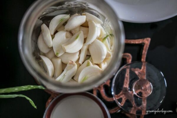 An easy Garlic Infusion to always have on hand